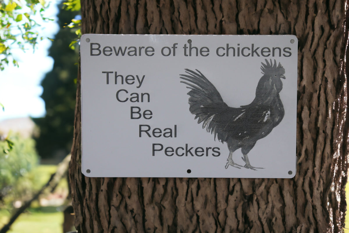 Beware of Chickens Laser Engraved Aluminum Sign – Custom Zengraving
